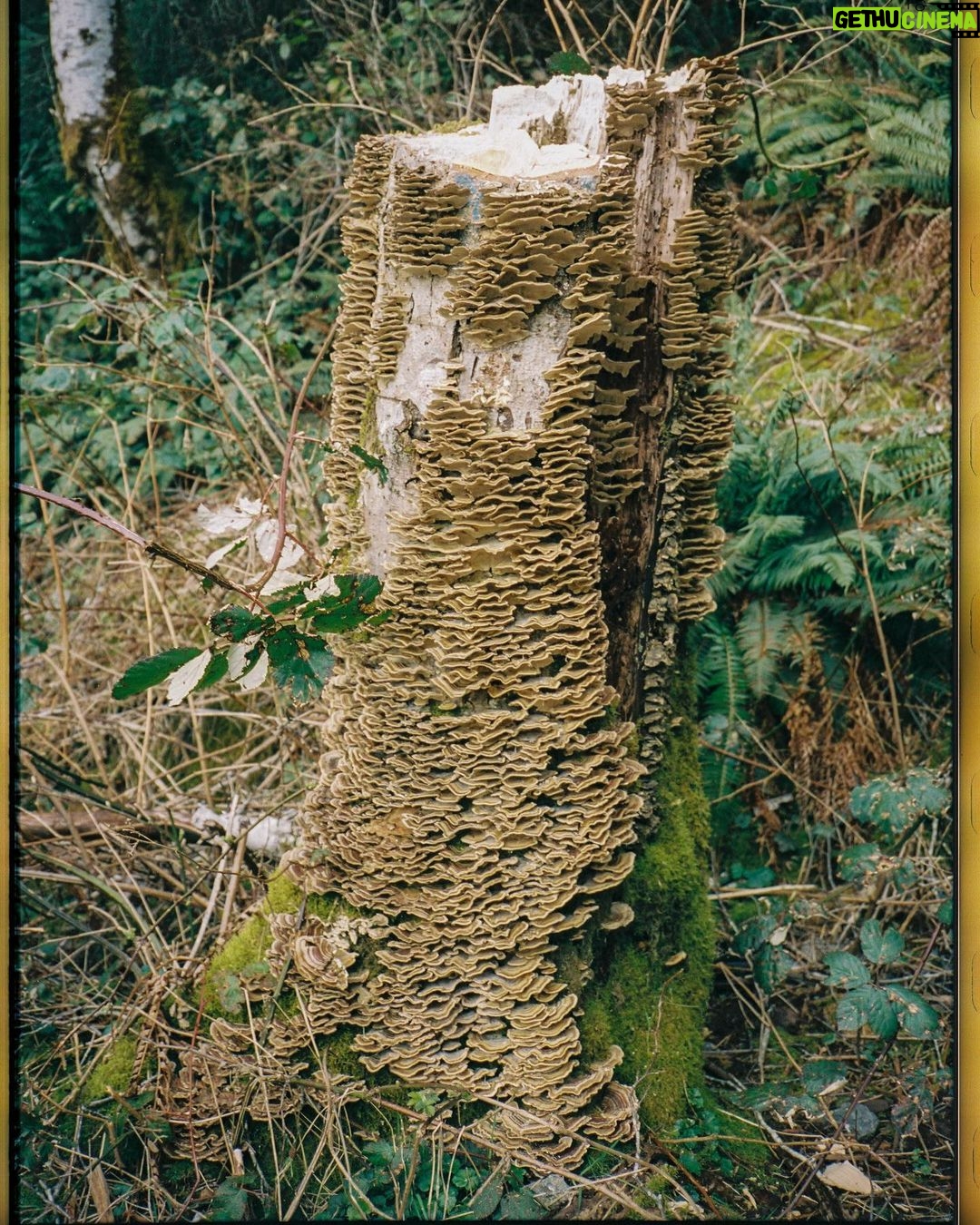 Cole Sprouse Instagram – Super nice and fun-guy, hmu if you dig ...