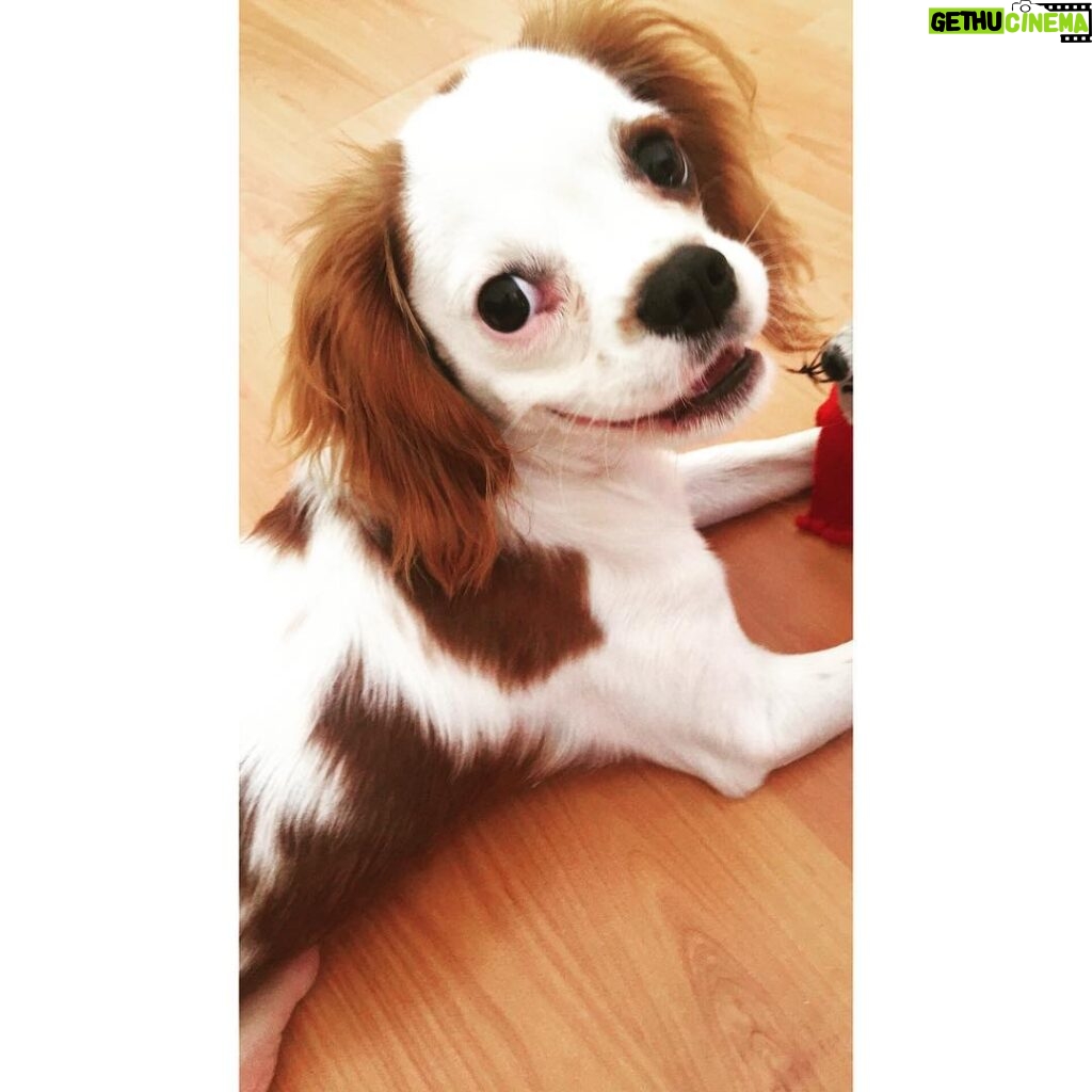 Actress Duygu Karaca HD Photos and Wallpapers August 2016 | Gethu Cinema