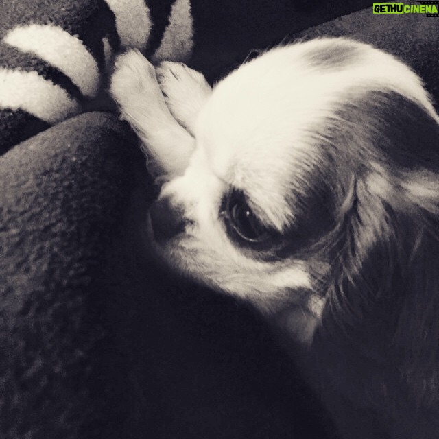 Actress Duygu Karaca HD Photos and Wallpapers August 2016 | Gethu Cinema