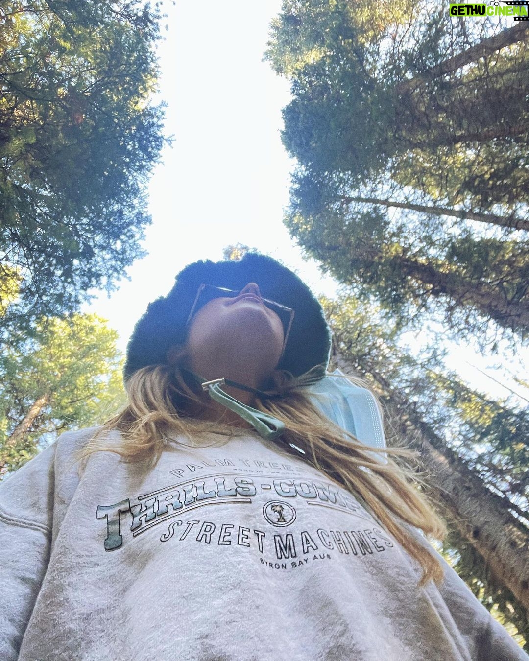 Elizabeth Gillies Instagram – A little non-Fallon Content 🌲 | Gethu Cinema