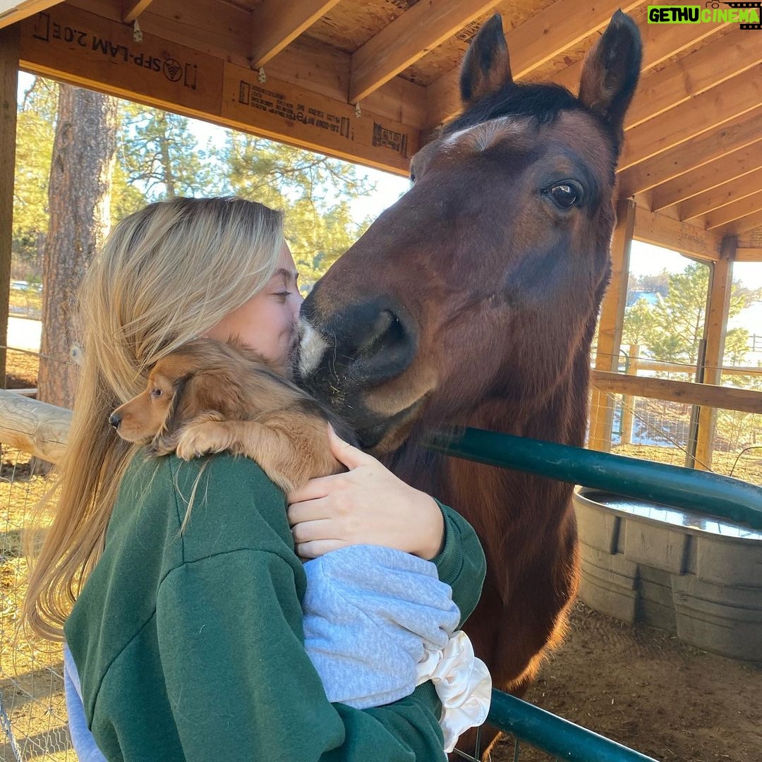 Emma Meisel Instagram – The Butter’s content won’t be slowing down ...