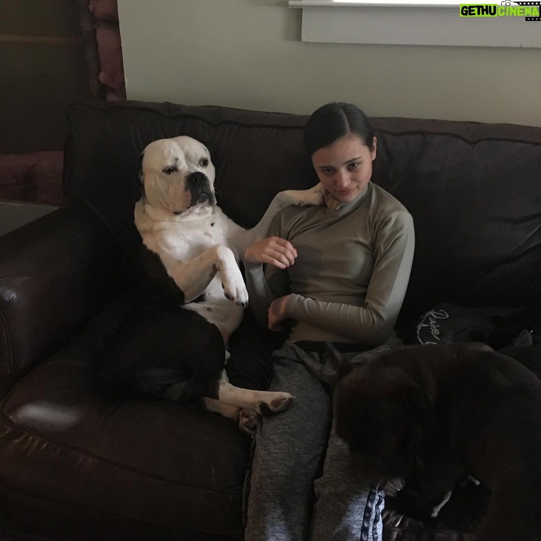 Gabrielle Echols Instagram – Happy national dog day!! 🐶🐶🐶 | Gethu Cinema