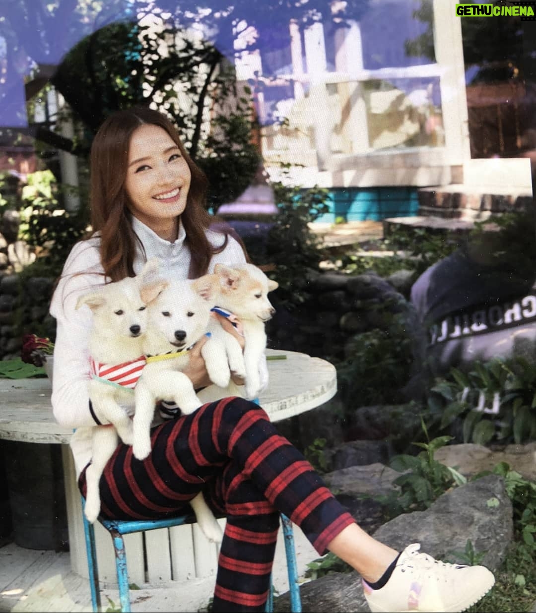 Han Chae-young Instagram – #레노마골프 #촬영장 #놀러온삼둥이 #핫 #썸머 #루비 #귀요미들💕 ...