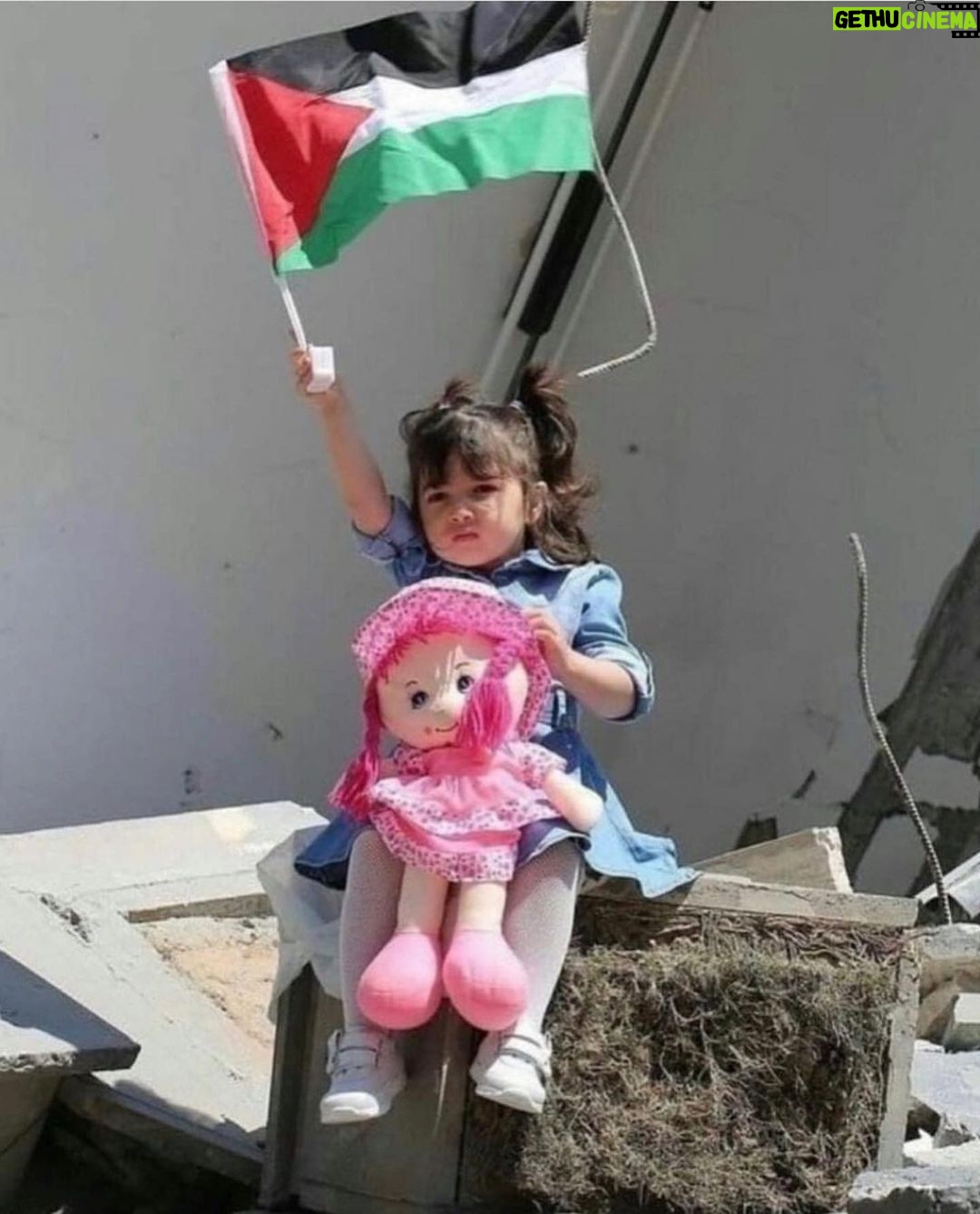 Actress Heba Magdi HD Instagram Photos and Wallpapers November 2023 ...