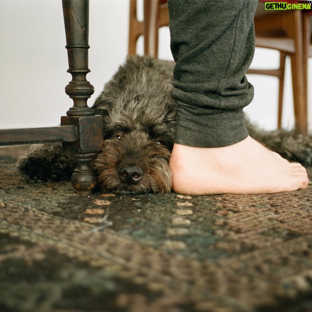 Ian Harding Instagram – Best. Boy. | Gethu Cinema