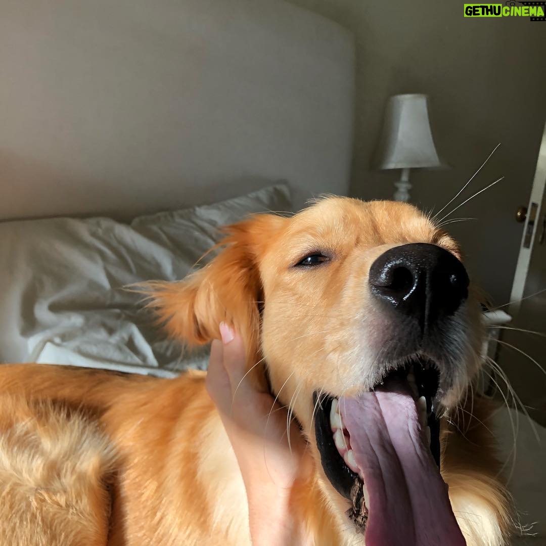 Jace Norman Instagram – Been spending allot of time reflecting. Finding ...