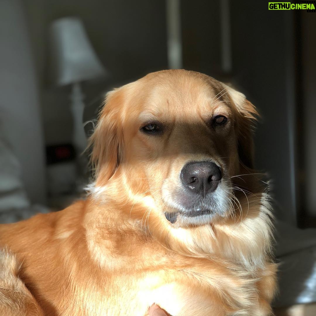 Jace Norman Instagram – Been spending allot of time reflecting. Finding ...