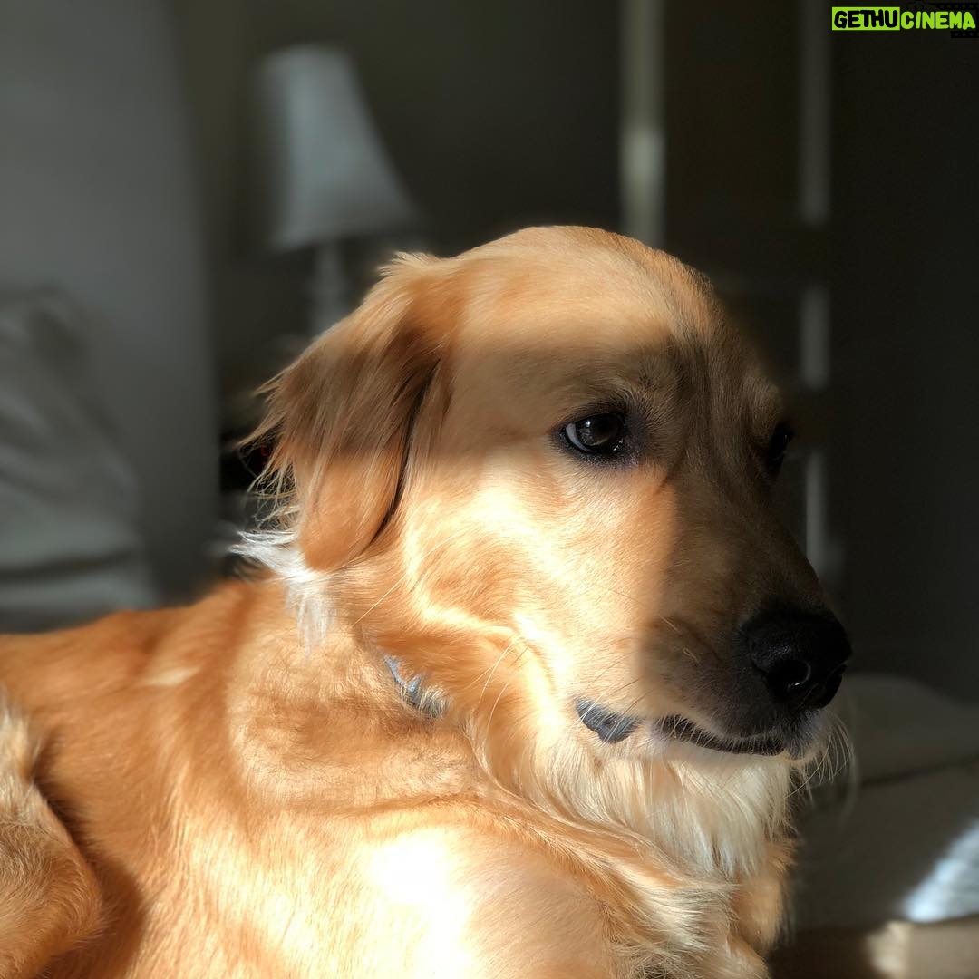 Jace Norman Instagram – Been spending allot of time reflecting. Finding ...