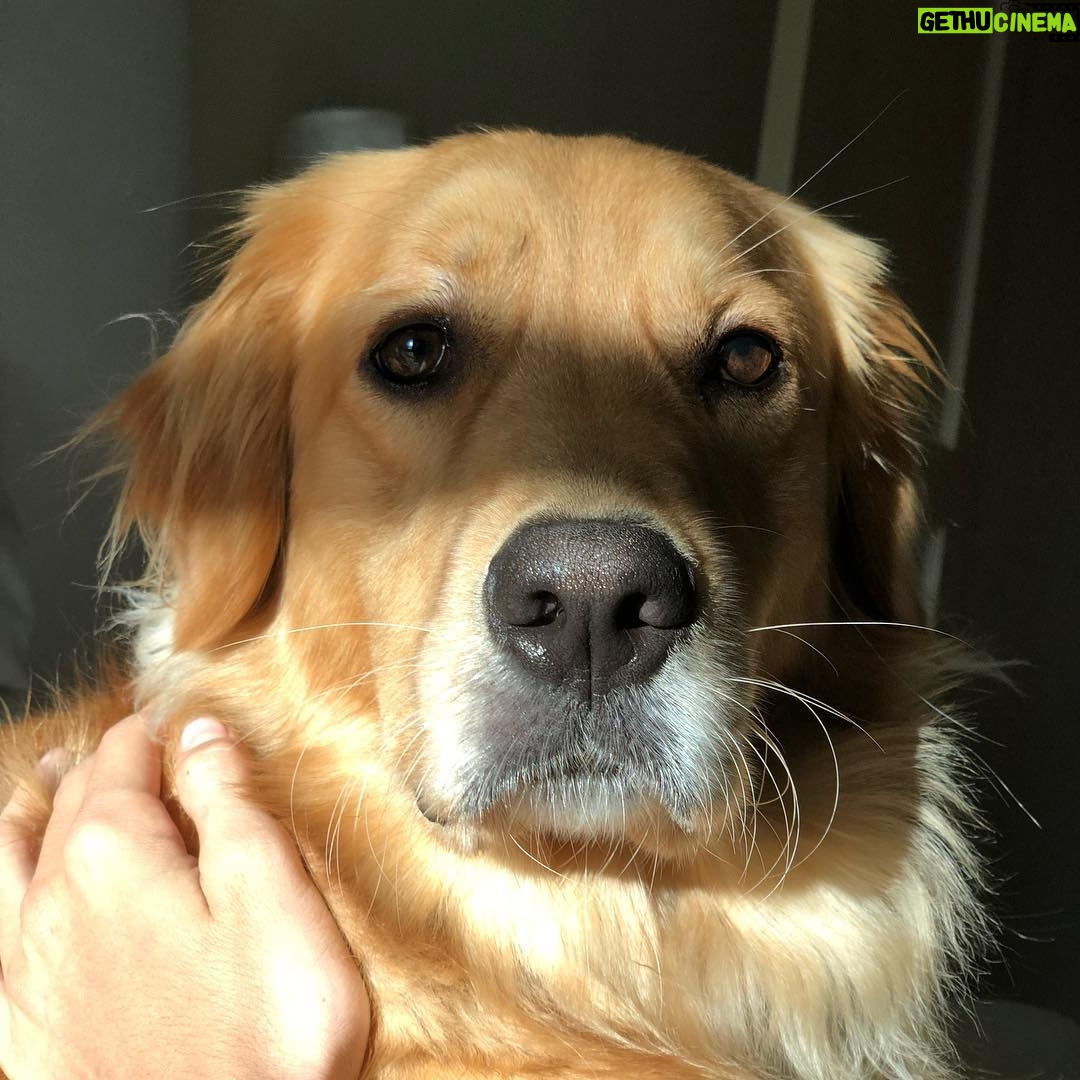 Jace Norman Instagram – Been spending allot of time reflecting. Finding ...