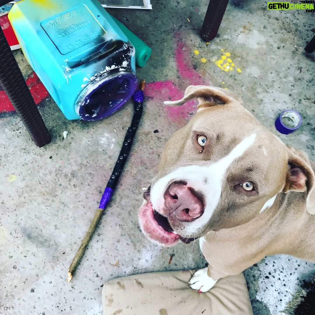 Jason Miller Instagram – BRICKTOP AT WORK ON THE NEW MIC STAND. Mayhem ...