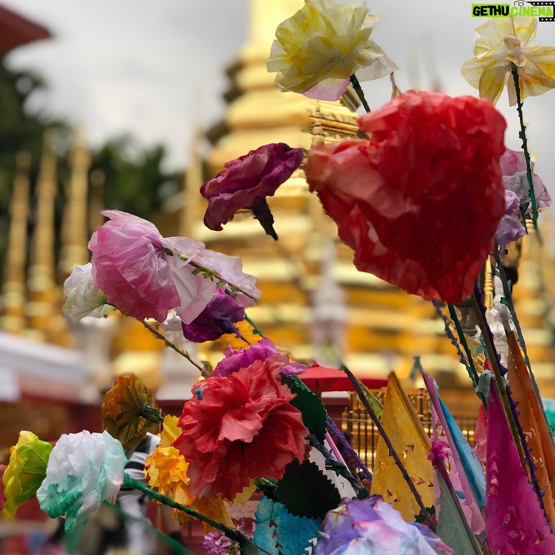 Jess Varley Instagram – Waiting for 2019 like: Chiang Mai, Thailand | Gethu Cinema