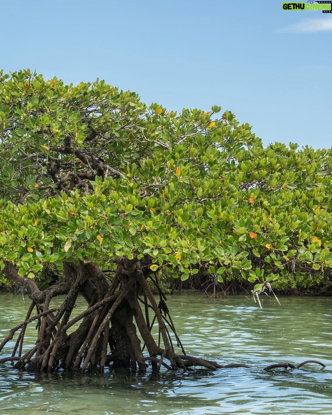Leonardo DiCaprio Instagram – A new protected area has been established ...