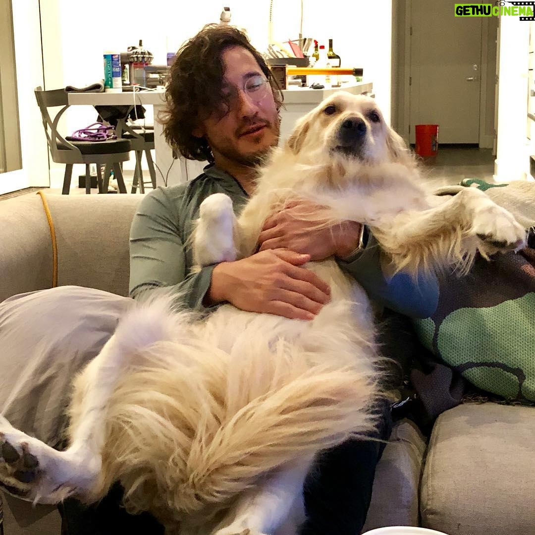 Markiplier Instagram – I love these bubs with all my everything | Gethu ...