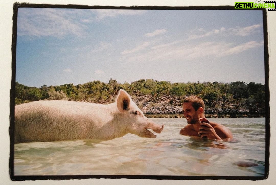 Paul Walker Instagram – “Wherever there are wild animals in the world ...