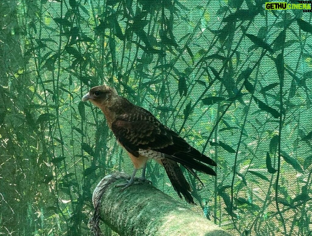 Actress Paula Luchsinger HD Instagram Photos and Wallpapers May 2022 ...