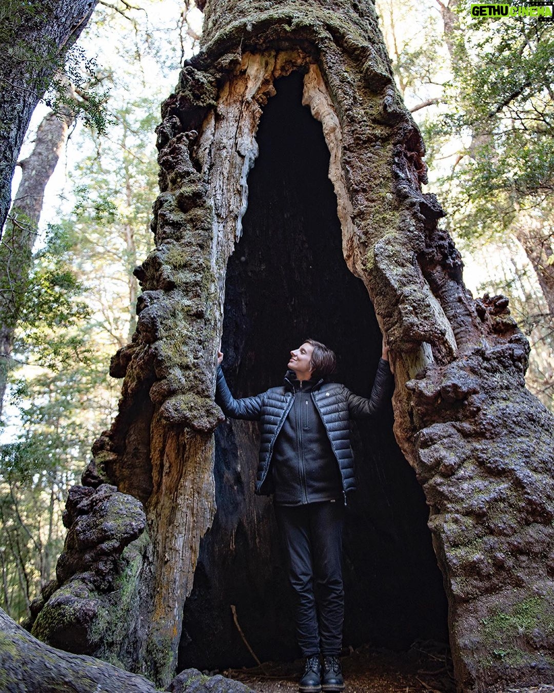 Actress Paula Luchsinger HD Instagram Photos and Wallpapers January ...