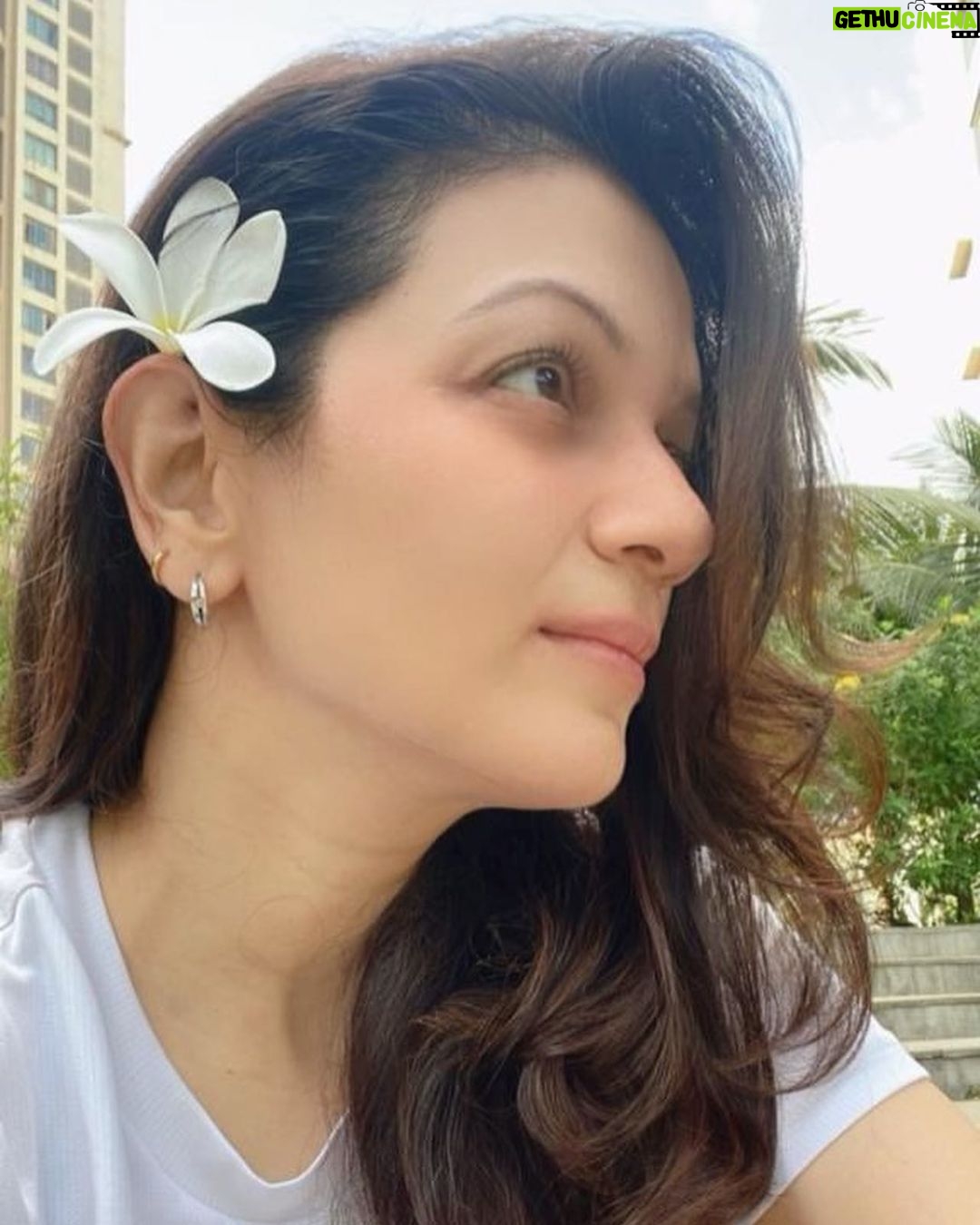 Actress Prachee Shah HD Instagram Photos and Wallpapers December 2023 ...
