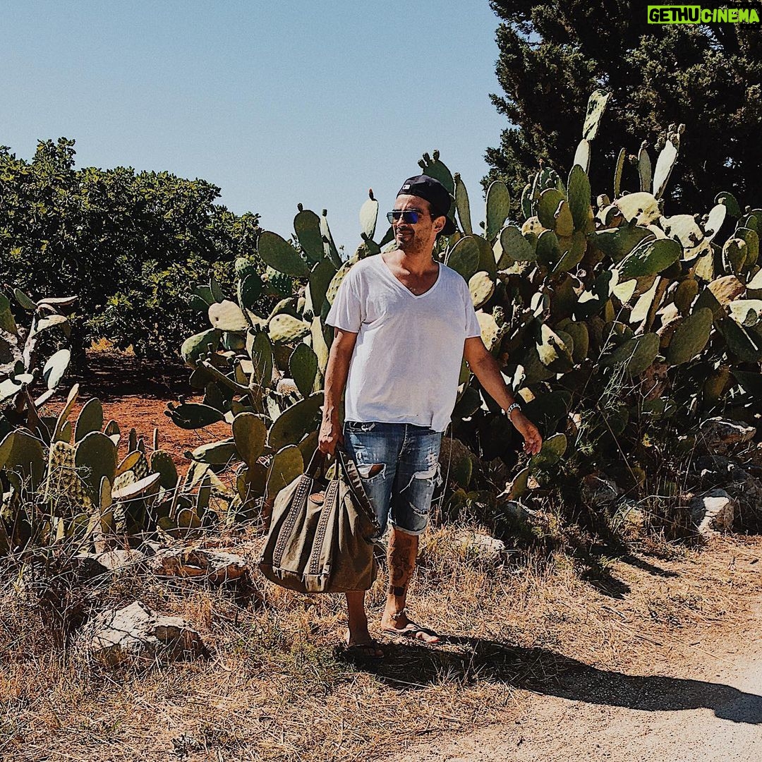 Primo Reggiani Instagram – Quando capisci che la strada da fare sarà ...