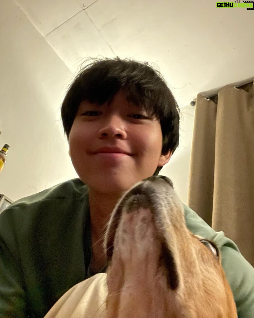 Actor Rabin Angeles HD Instagram Photos and Wallpapers May 2023 | Gethu ...