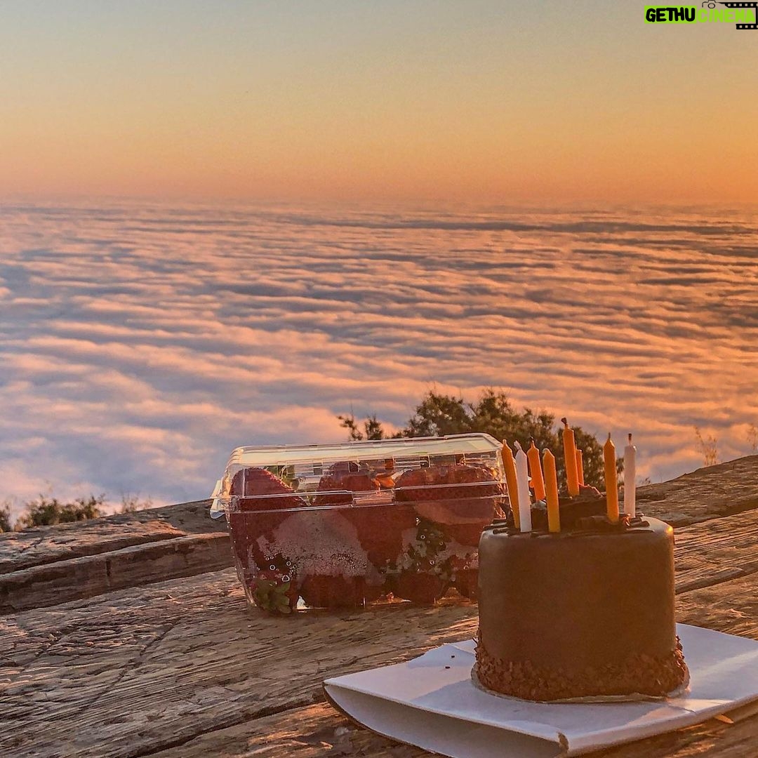 Rainer Dawn Instagram – Golden days Scotts Valley, California | Gethu ...