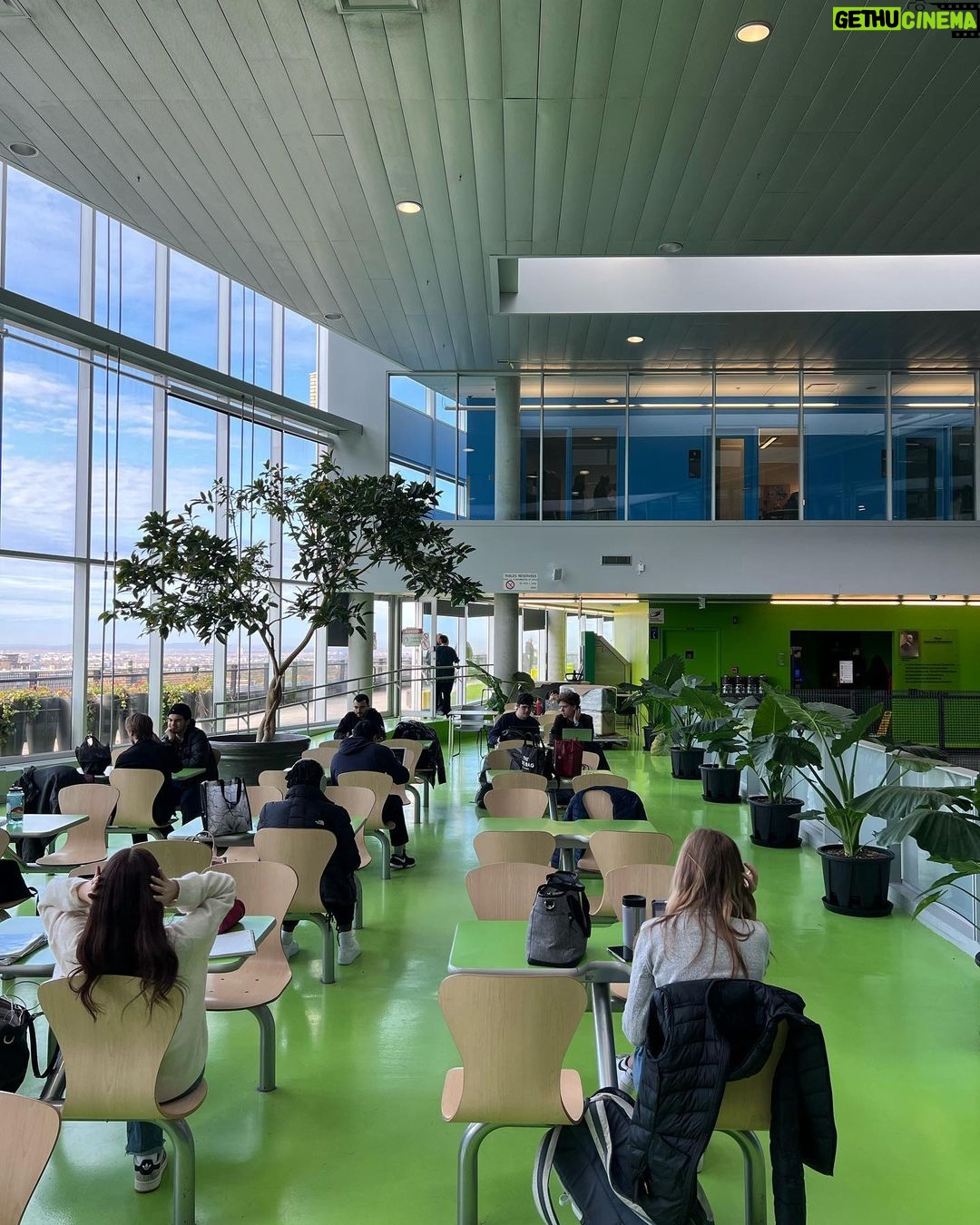 Actor Rami Farran HD Instagram Photos and Wallpapers December 2023 ...