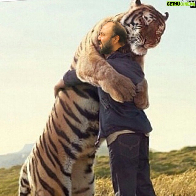 Actor Reza Attaran HD Instagram Photos and Wallpapers December 2014 ...