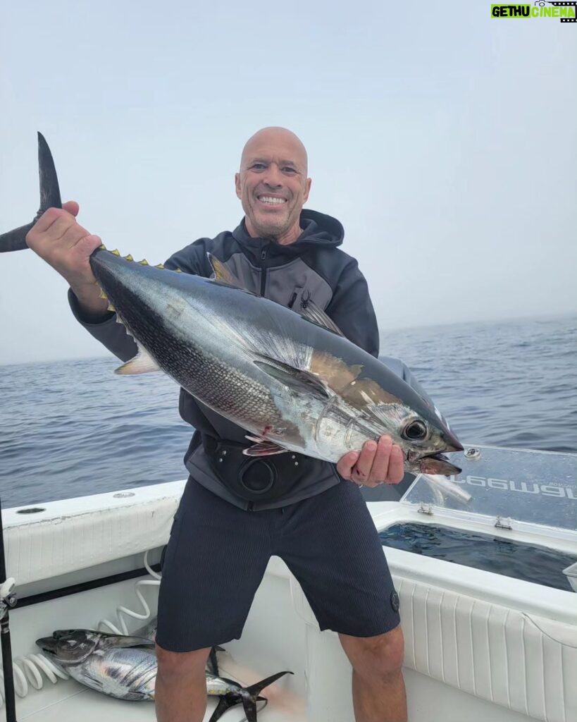 Actor Royce Gracie HD Instagram Photos and Wallpapers November 2023 ...
