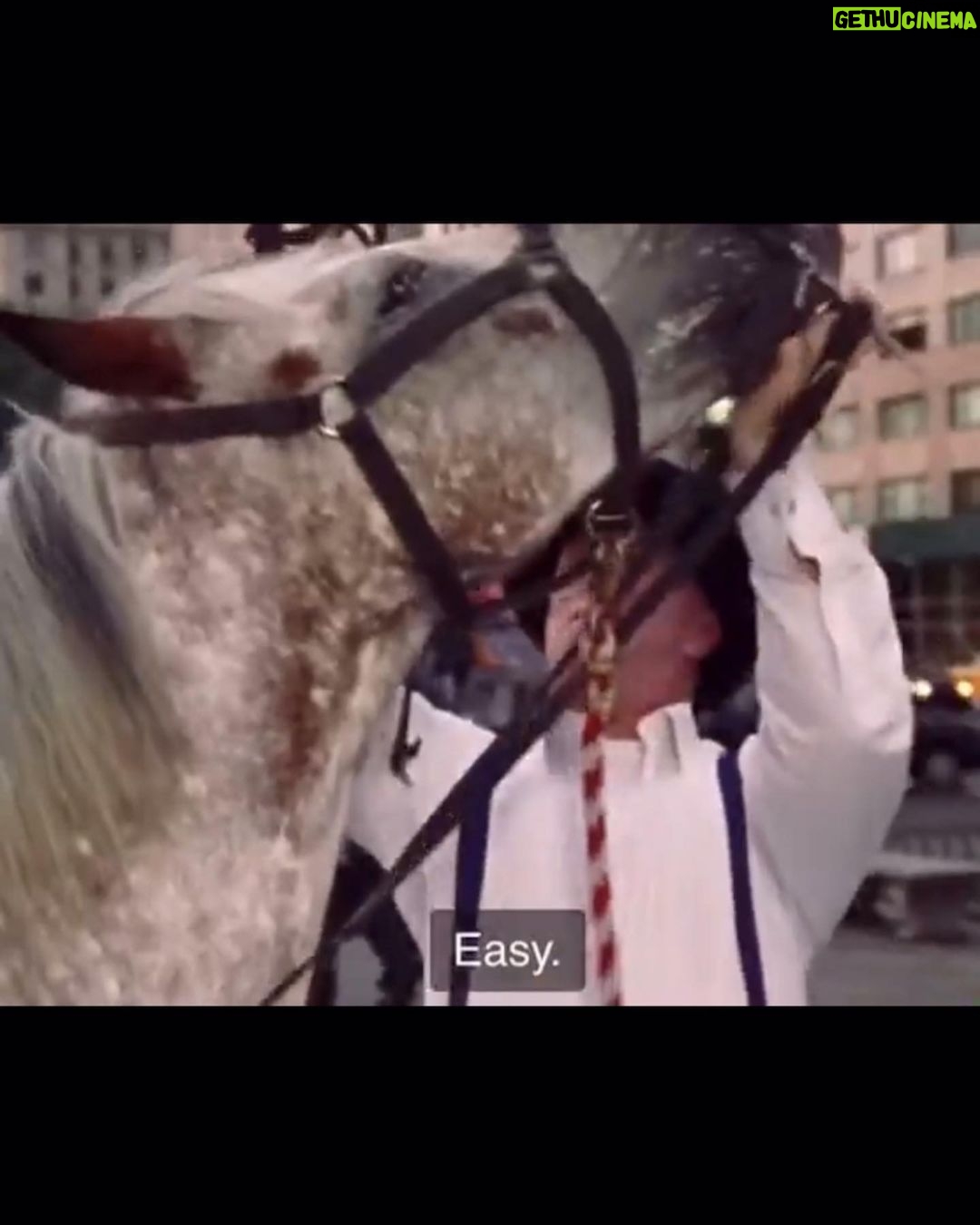 Actress Samya Pascotto HD Instagram Photos and Wallpapers December 2023 ...