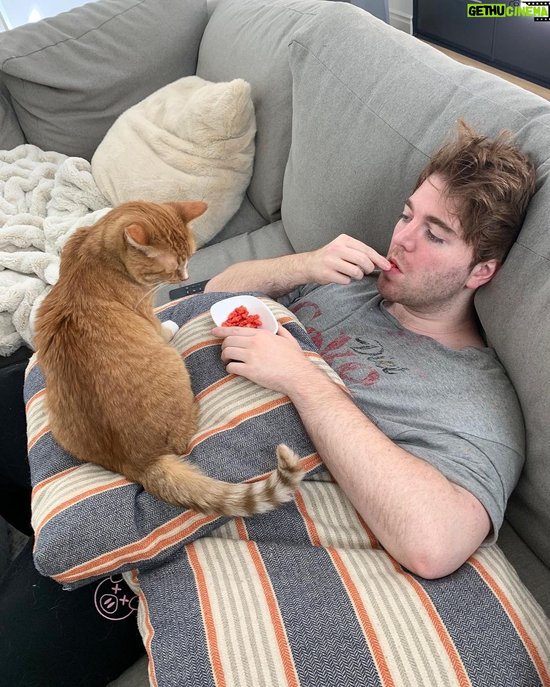 Shane Dawson Instagram – An accurate representation of how exciting my ...