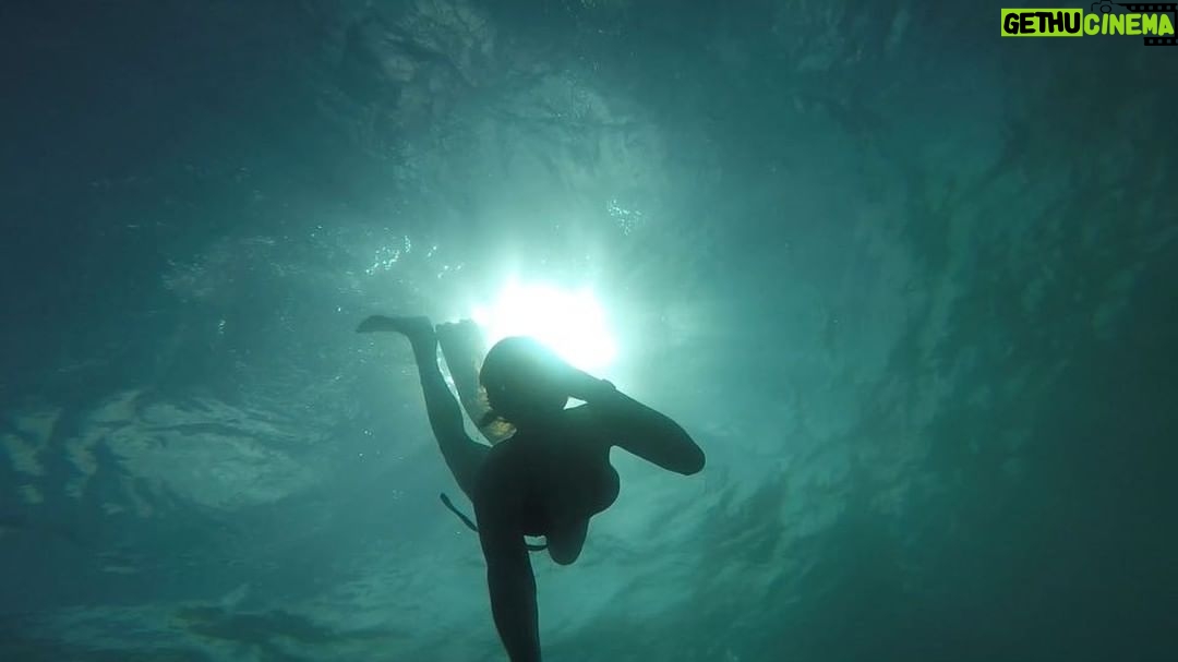 Tanya van Graan Instagram – Happy spring day!!!🌺💦 #BarracudaReef # ...