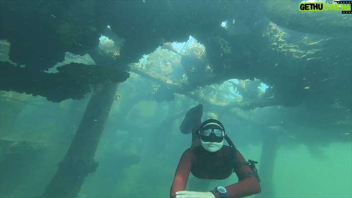 Tanya van Graan Instagram – Ship just got real…🚢💙🤙🏼💦 . . . # ...