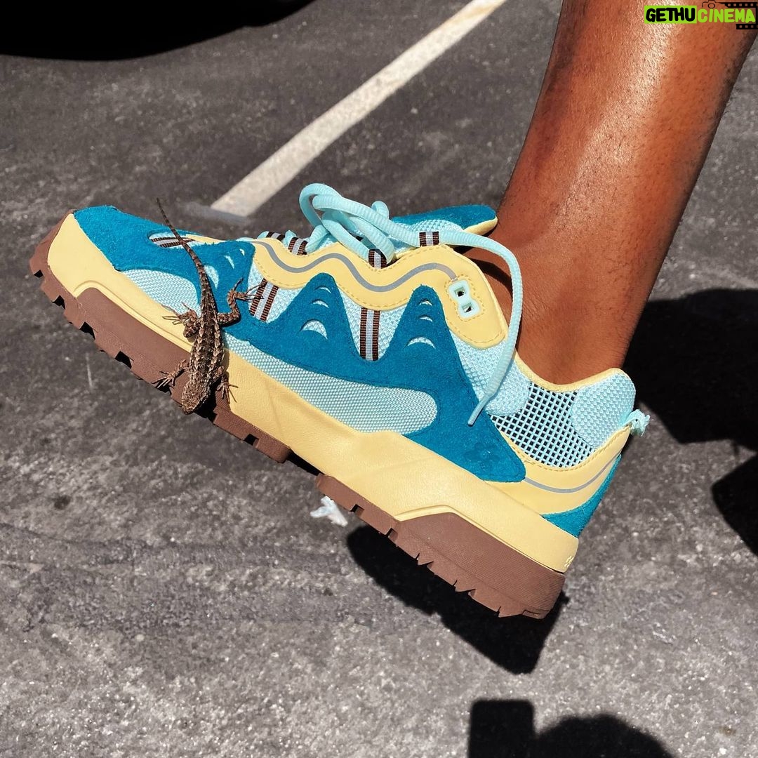 Tyler, the Creator Instagram – 2. No Vacancy (gunn) – mustache | Gethu ...