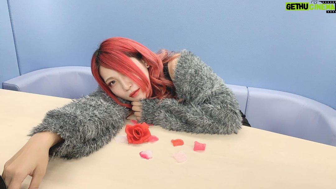 Utami Hayashishita Instagram – 薔薇チェキ撮ってきた 🌹 . いつからの発売か分からないけどGETしてね ...