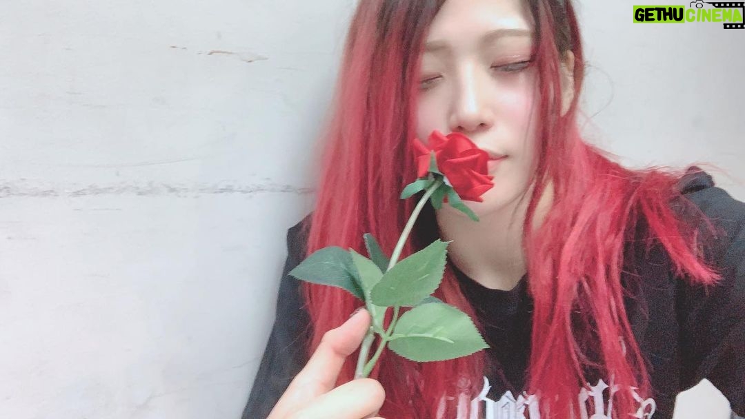 Utami Hayashishita Instagram – 朱里さんから想いのこもってそうな薔薇もらった🌹 #STARDOM #QQ ...
