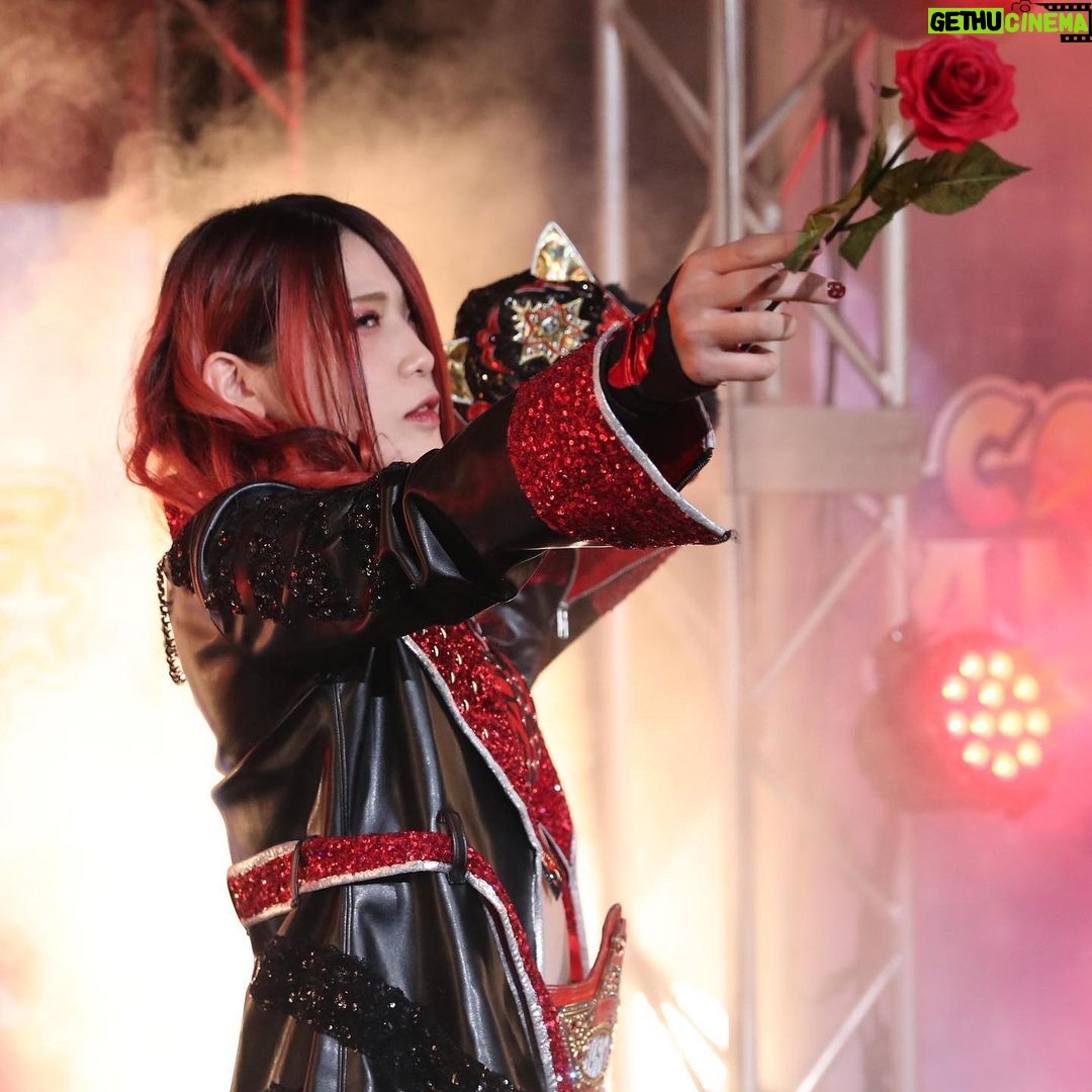 Utami Hayashishita Instagram – 3月3日 日本武道館 . 最高でした . 素敵な写真をありがとうございます ...