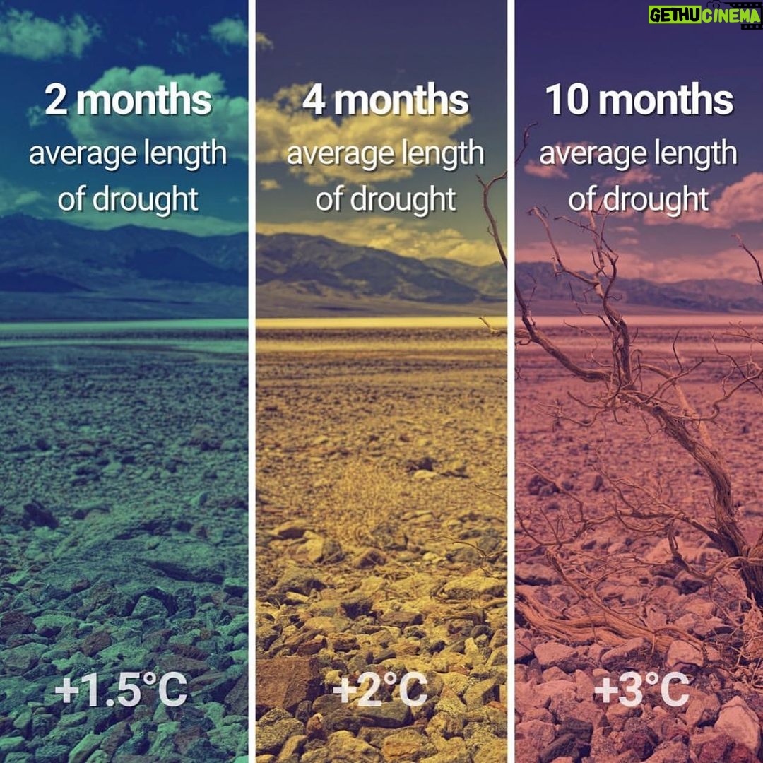 Aidan Gallagher Instagram – The difference between 1.5°C, 2°C or 3°C ...
