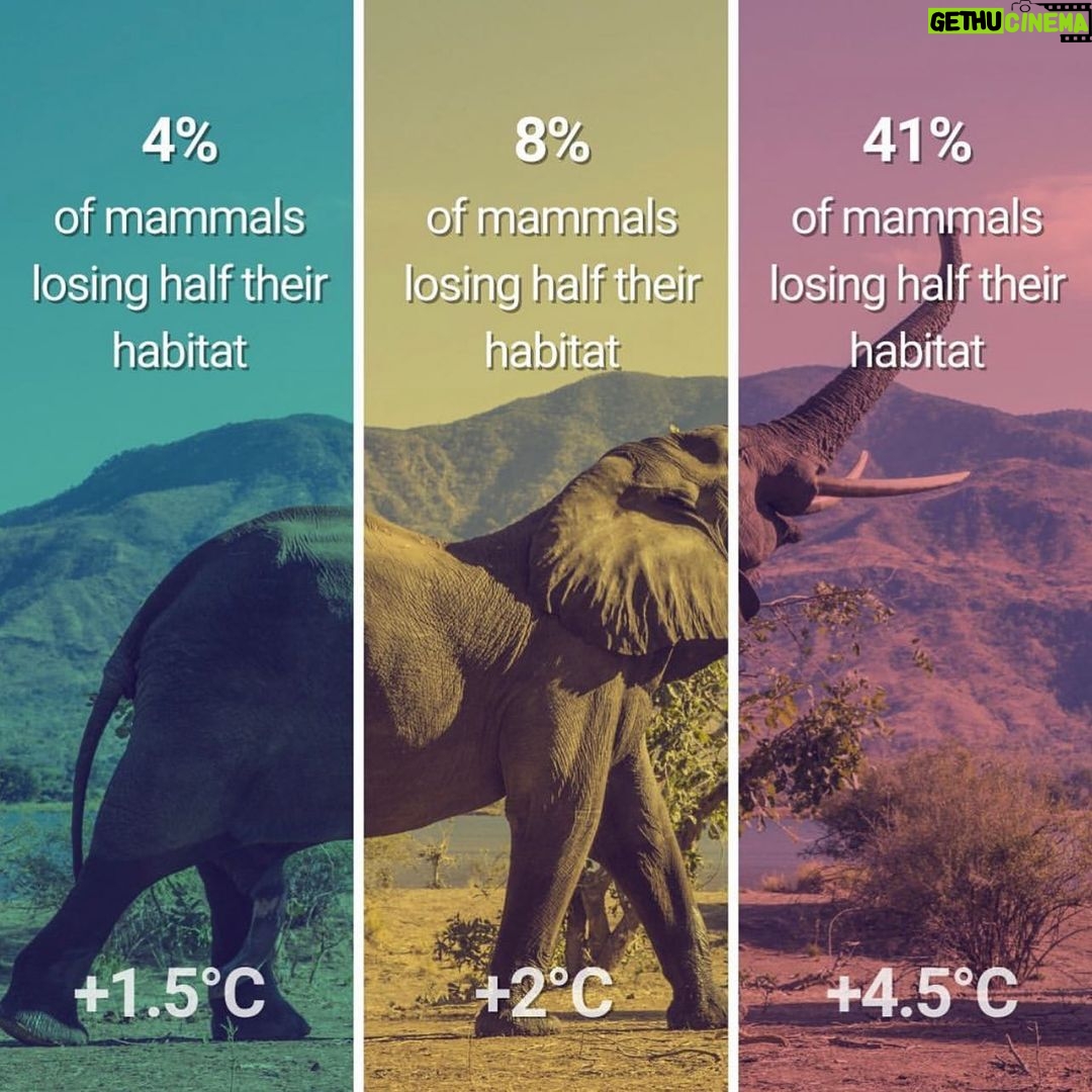 Aidan Gallagher Instagram – The difference between 1.5°C, 2°C or 3°C ...