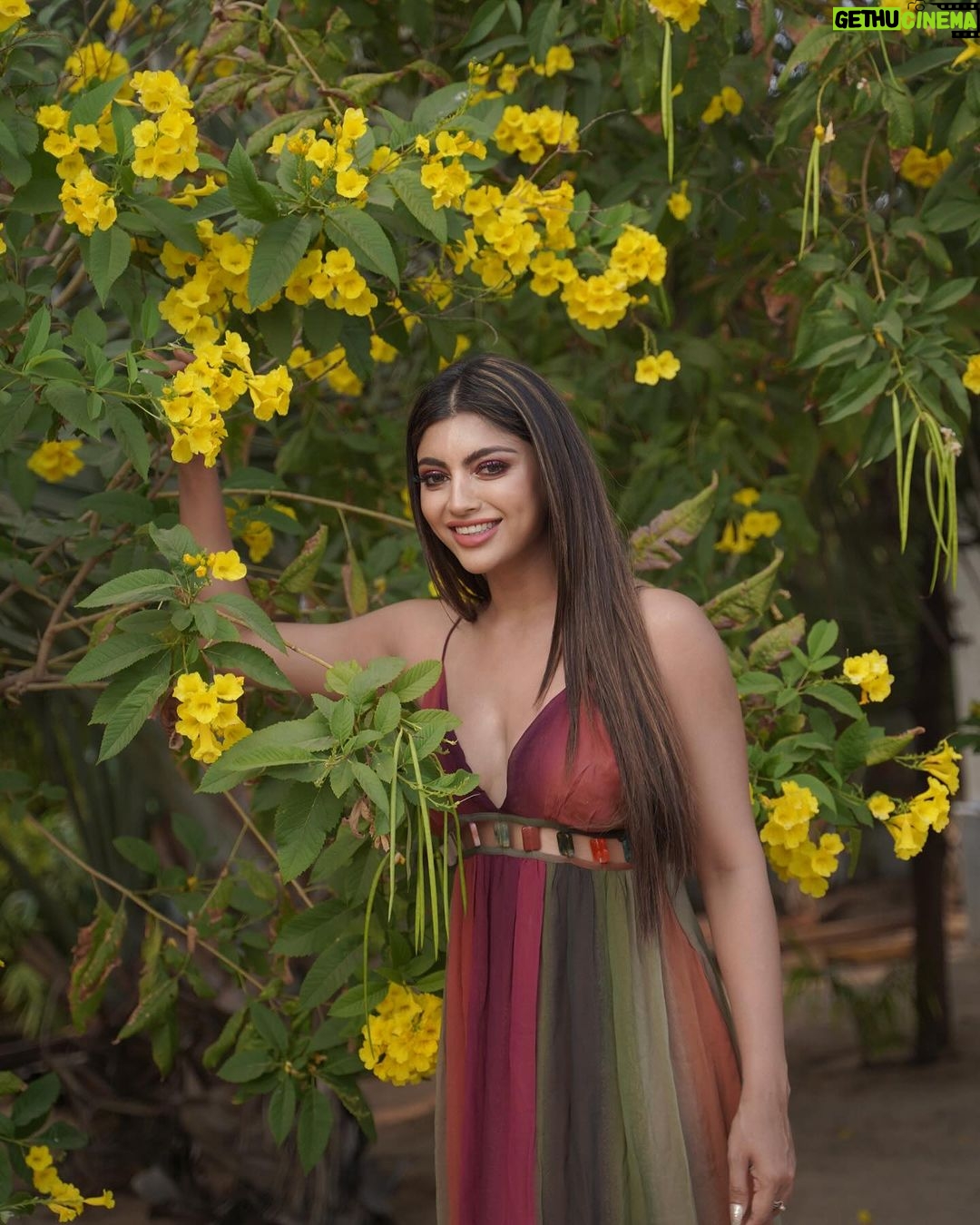 Actress Akanksha Puri HD Instagram Photos and Wallpapers January 2024 | Gethu Cinema