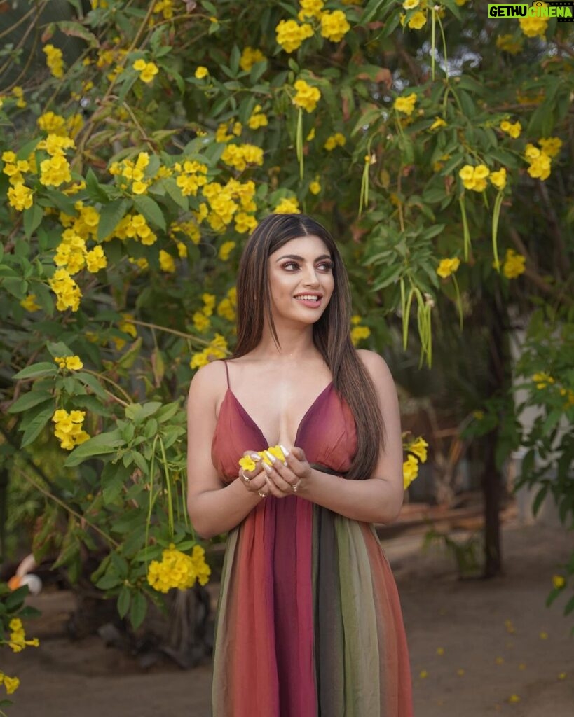 Actress Akanksha Puri HD Instagram Photos and Wallpapers February 2024 | Gethu Cinema