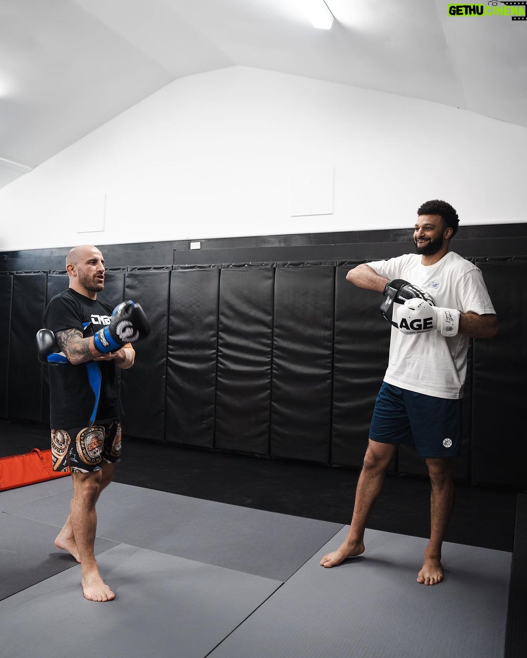 Actor Alexander Volkanovski HD Instagram Photos and Wallpapers ...