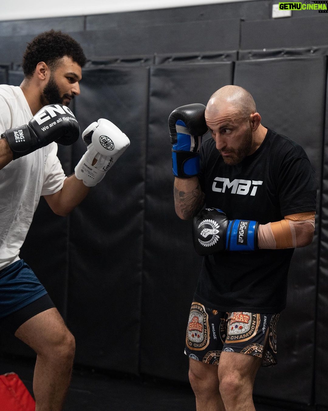 Actor Alexander Volkanovski HD Instagram Photos and Wallpapers ...