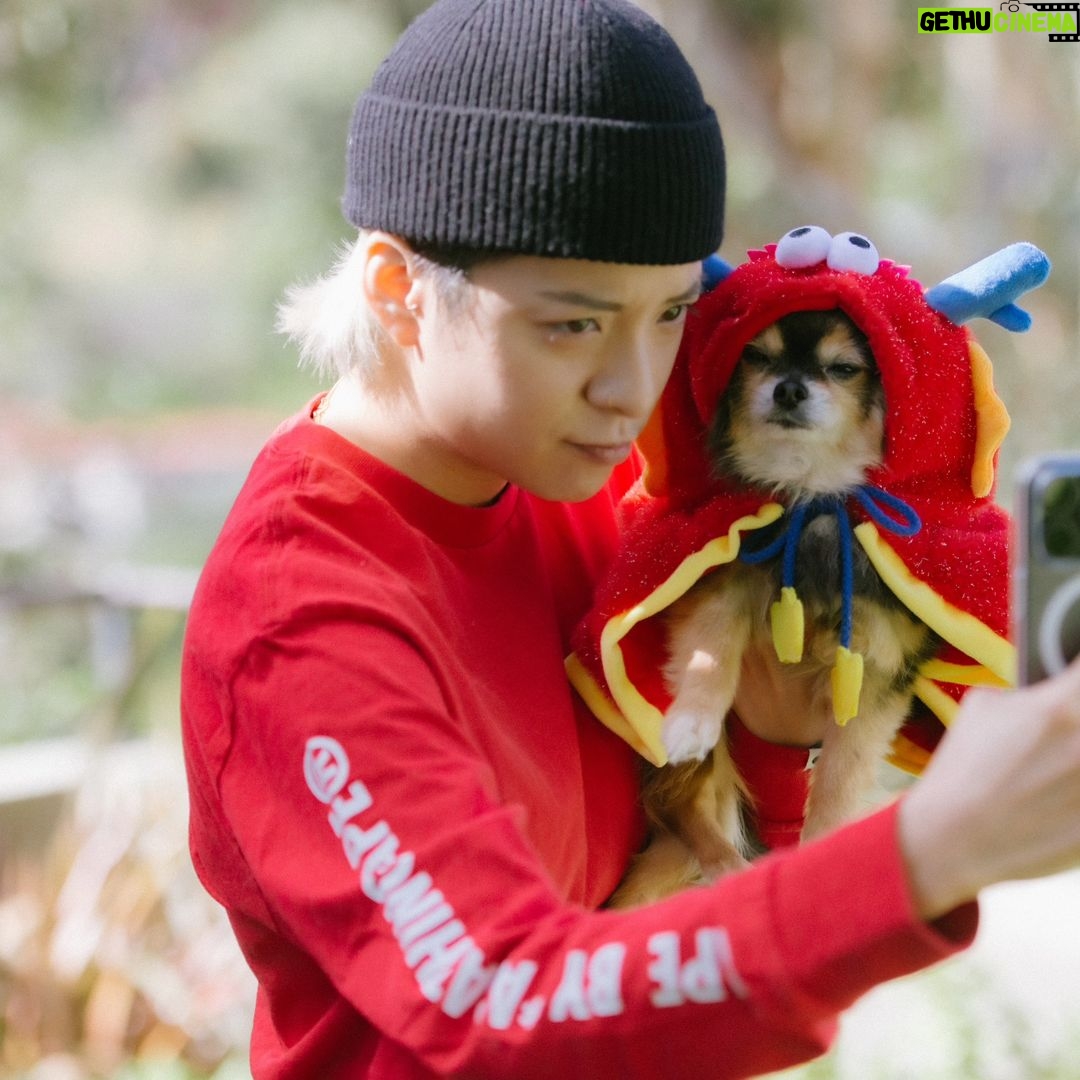 Amber Liu Instagram – Happy New Year from the Liu Family! Happy Spring ...