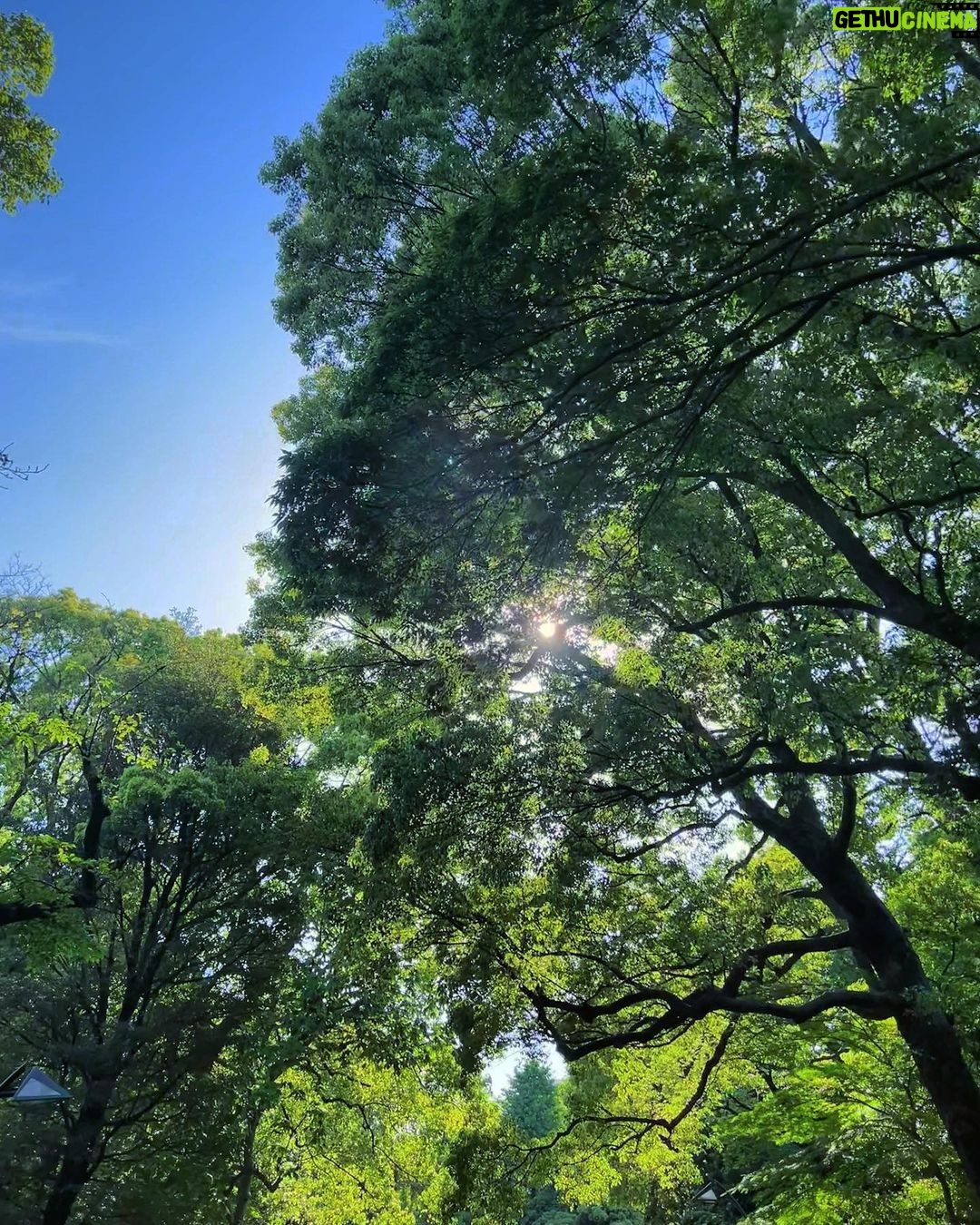 Anne Nakamura Instagram – 🌳🌱🪿🫧 | Gethu Cinema