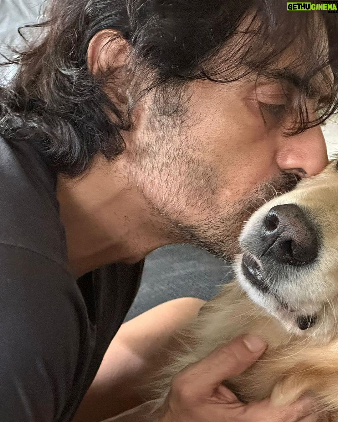 Arjun Rampal Instagram – Unconditional love ️ #dean #nationalpetday ...