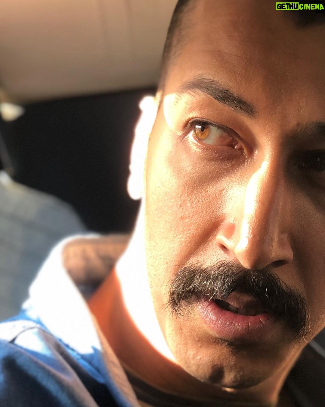 Actor Bahram Afshari HD Instagram Photos and Wallpapers March 2024 ...