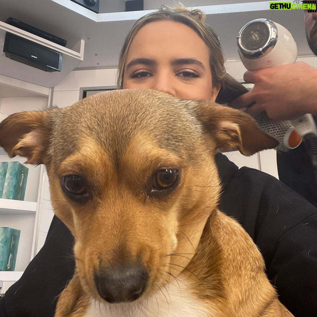 Bailee Madison Instagram – A lil week recap 💕💕 ️ ️ 🎥 🐶 | Gethu Cinema