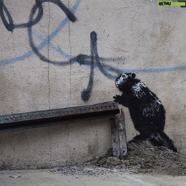 Banksy Instagram – East New York | Gethu Cinema