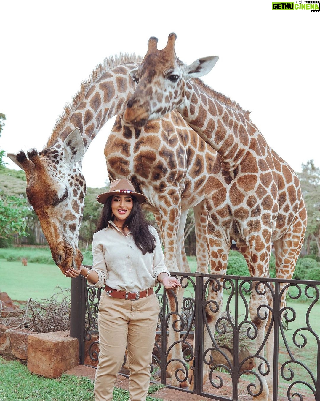 Buthaina Al Raisi Instagram – قلتلكم من كثر حبي لهم بجننكم بالصور .. بس ...