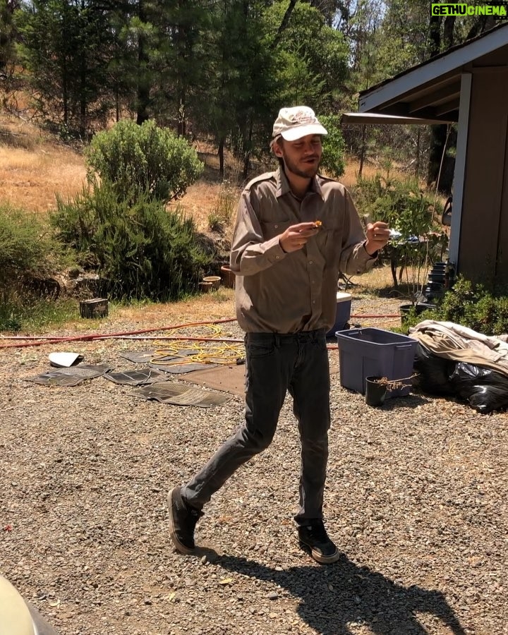 Casey Frey Instagram – It’s lit like a matchstick🔥 | Gethu Cinema