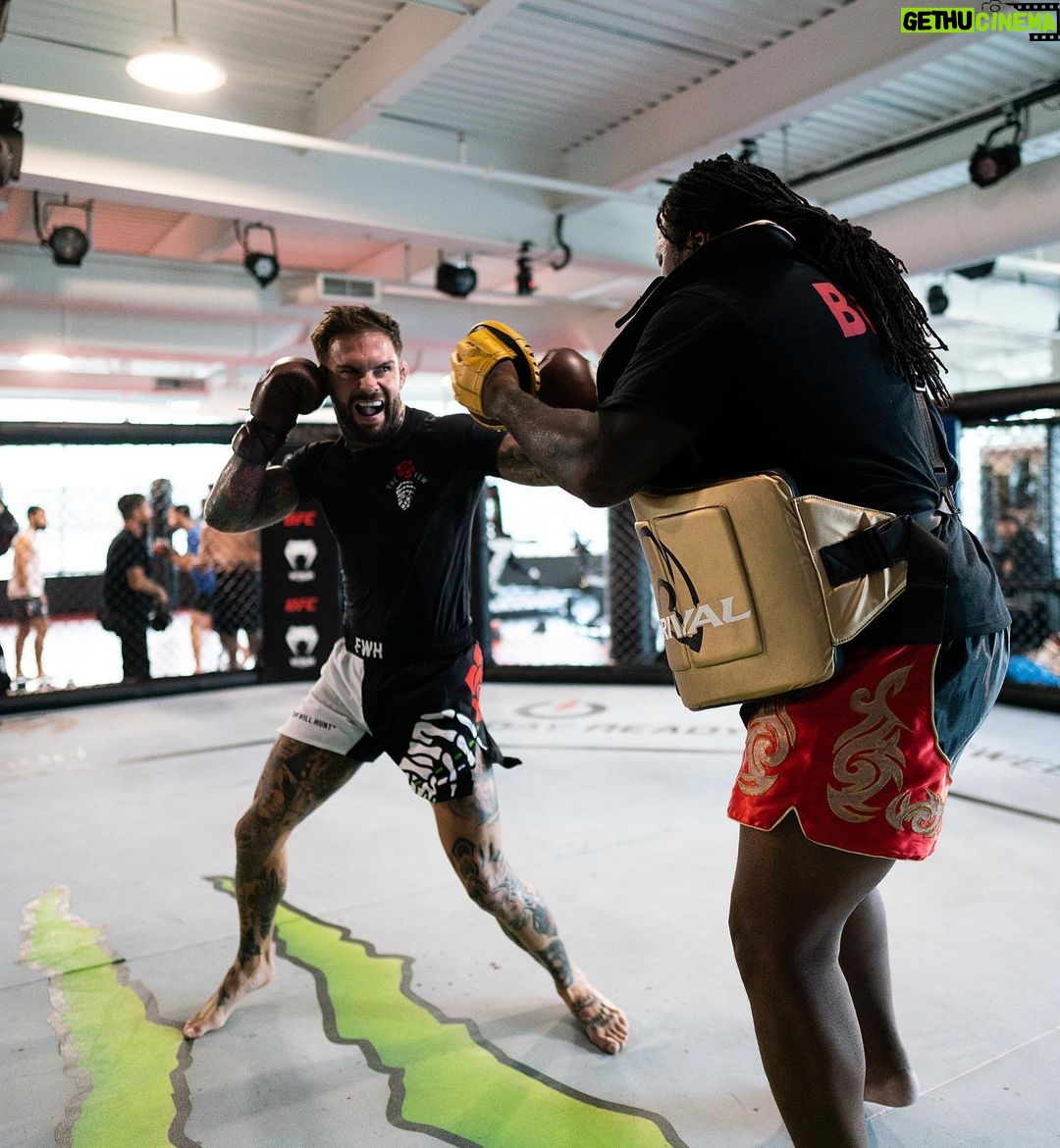 Cody Garbrandt Instagram – You will never always be motivated. So you ...
